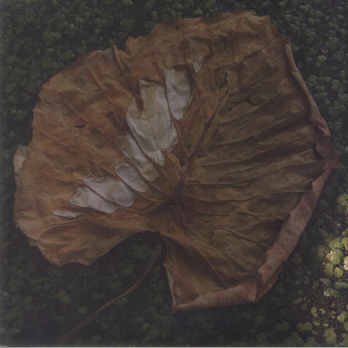 Adela MEDE - Ne Lepj A Viragra Vinyl at Juno Records.