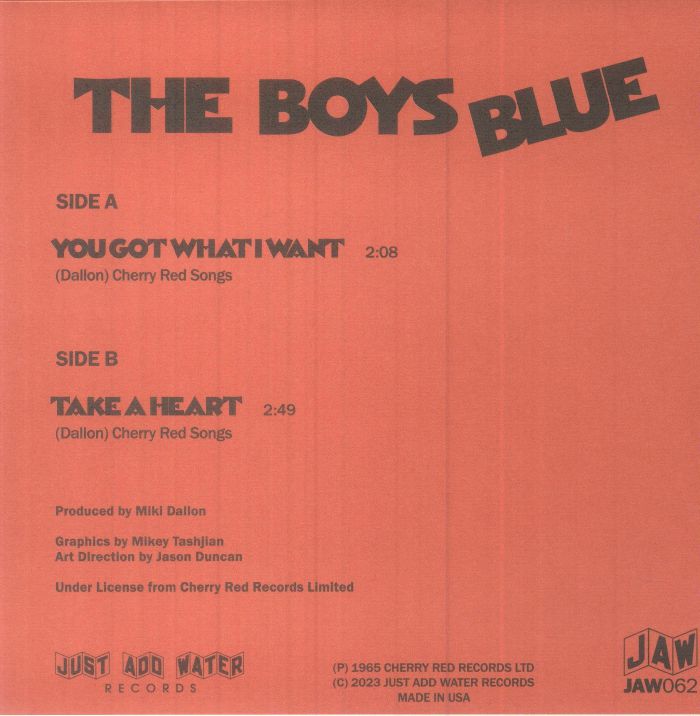 The BOYS BLUE - You Got What I Want Vinyl at Juno Records.