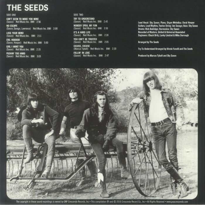 The SEEDS - The Seeds (Deluxe Remastered Edition) (mono) Vinyl at Juno ...