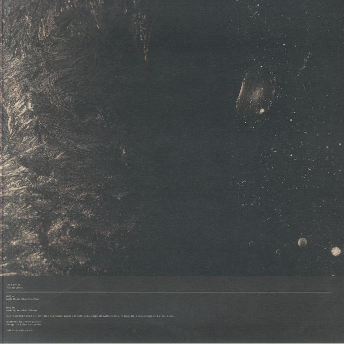 Jim HAYNES - Inauspicious Vinyl at Juno Records.
