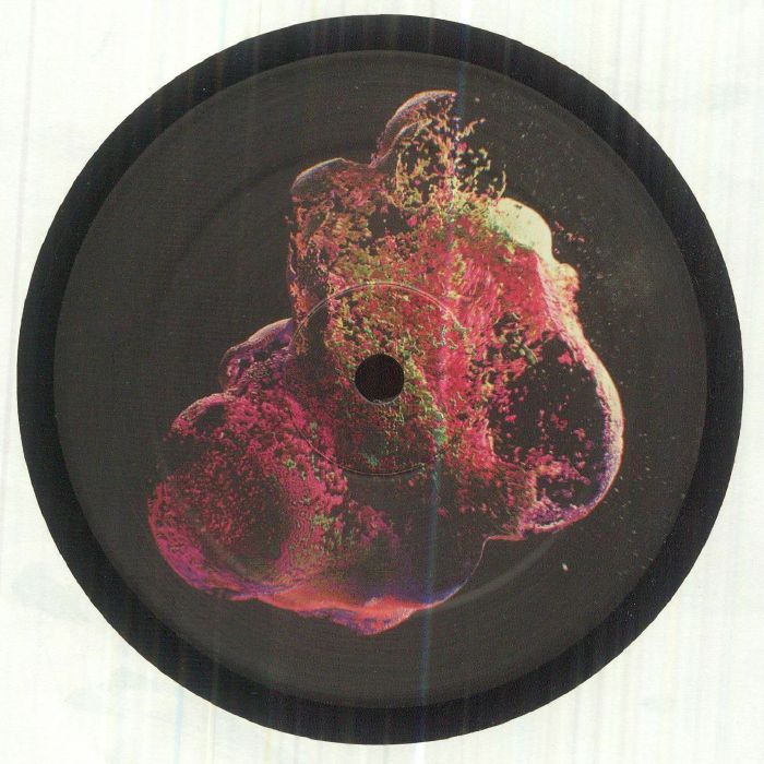 Luigi MADONNA - Ikigai EP Vinyl at Juno Records.
