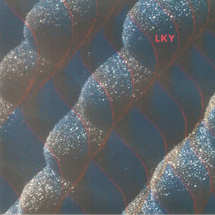 LKY - Symmetry Zone Vinyl at Juno Records.