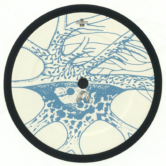FADER CAP - Echo Chamber Vinyl at Juno Records.